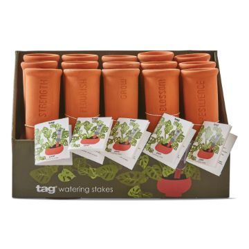 Terracotta Watering Stake – Wildflowers