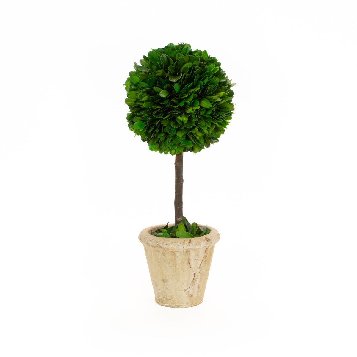 12" Single Ball Topiary – Wildflowers