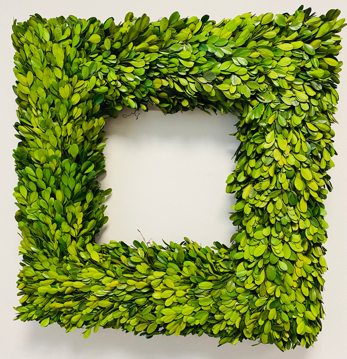 Square Preserved Boxwood 20" – Wildflowers